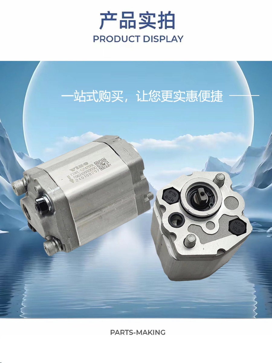 VIBO液压油泵CBKL-G2420BLCBKL-G2200 CBKL-G2075