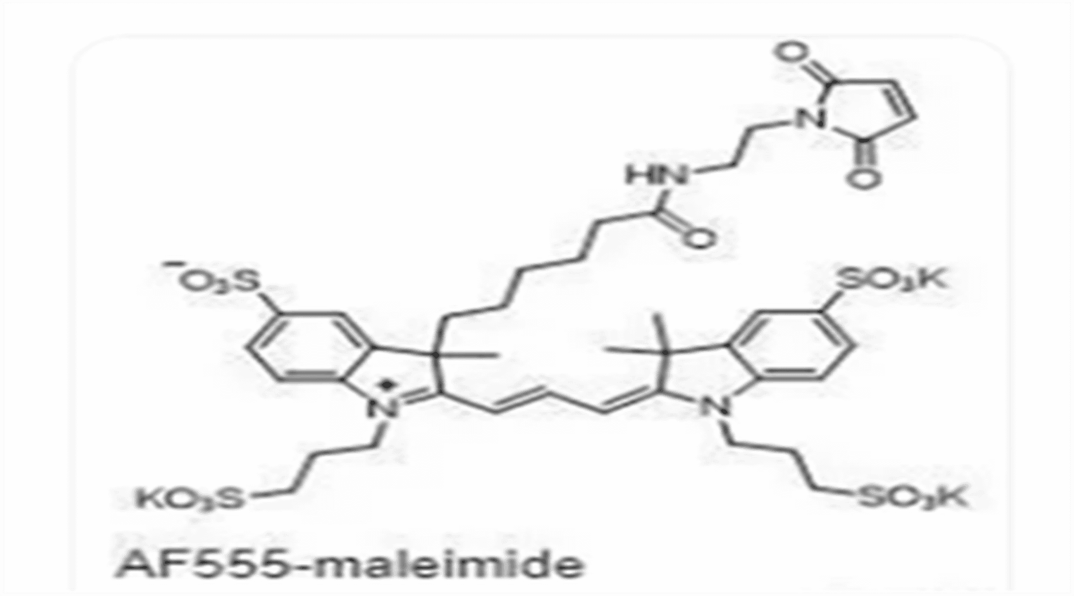 AF555-马来酰亚胺，Alexa Fluor 555 maleimide