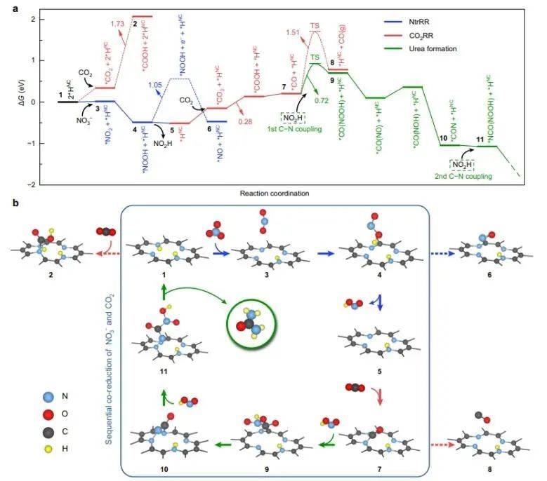 Nature子刊：催化剂触发NO3−和CO2顺序还原，实现尿素电合成_反应_NtrRR_过程