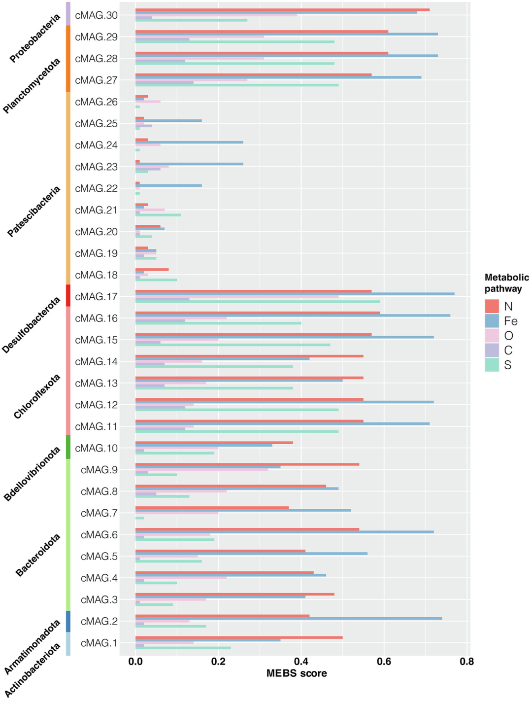 实验室无法培养的菌，原来可以这么研究！_cMAGs_代谢_细菌