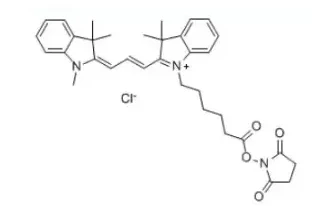 Sulfo-Cyanine3 NHS ester，146368-16-3，标记剂可用于活细胞成像、脂质追踪