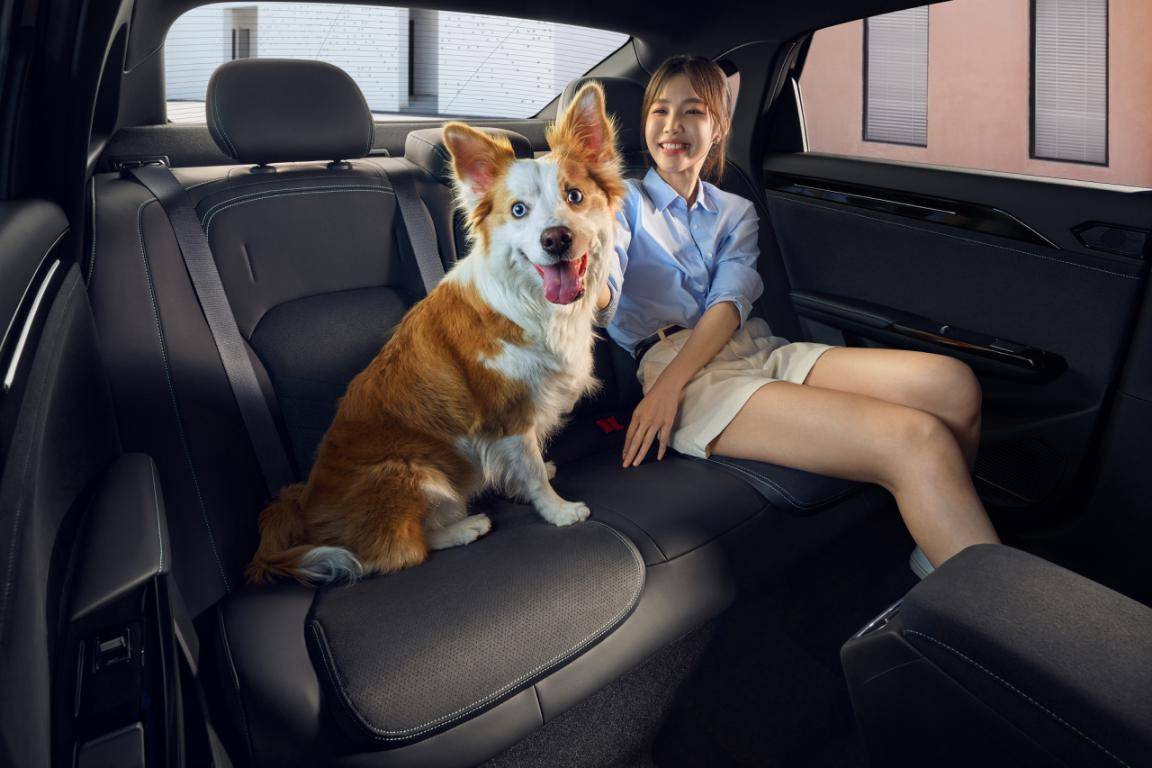 买到就是赚到！12.98w起，又安全又好看的银河L6创想版上市了！_搜狐汽车_搜狐网