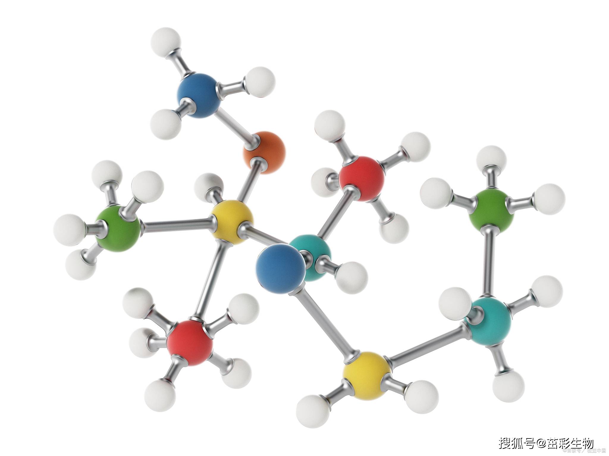 巴豆酰辅酶A（crotonyl-CoA）｜ELISA指标_代谢_研究_生物