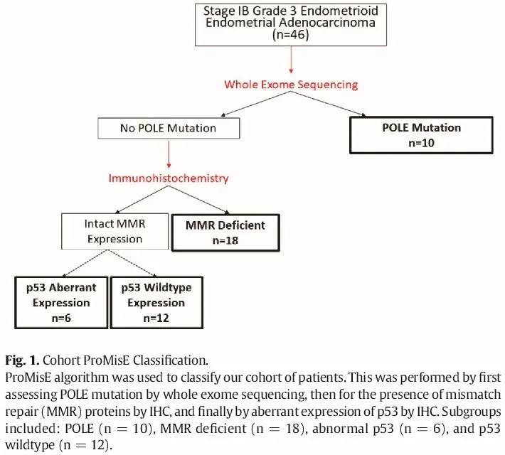FIGO 3级IB期子宫内膜子宫内膜样腺癌的分子特征和生存结局_治疗_患者_分类
