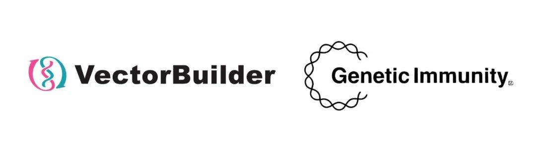 VectorBuilder云舟生物与Genetic Immunity建立战略合作关系，将共同推进HIV疫苗三期试验_临床_开发