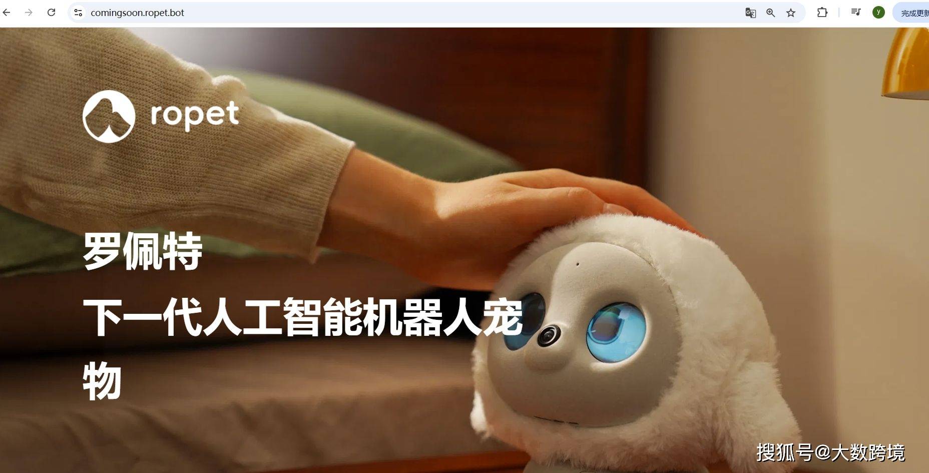 单日入10万美元，AI智能宠物机器人成海外新爆品 | 爆品洞察_Ropet_情感_产品