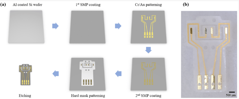 Intan Technologies RHD 2216利用微图案形状记忆聚合物实现生物电子医学的先进神经接口_进行