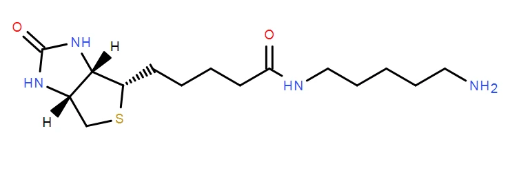 生物素-氨基，115416-38-1，Biotin-C5-NH2，有良好的水溶性、稳定性和高反应性