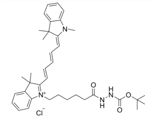 Cyanine5 Boc-hydrazide，Boc保护基团用于保护氨基或羟基等官能团_产品说明_技术文章_陕西新研博美生物科技有限公司