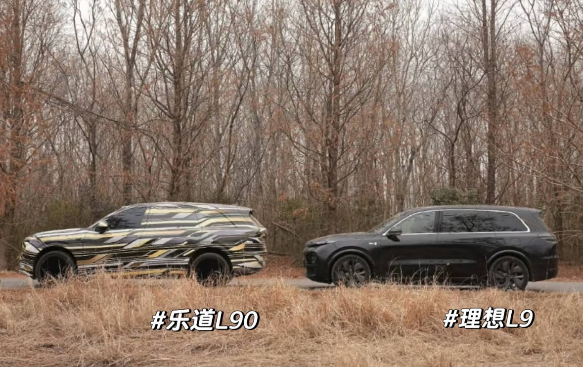 对标理想 L9，乐道 L90 有何实力？_搜狐汽车_搜狐网