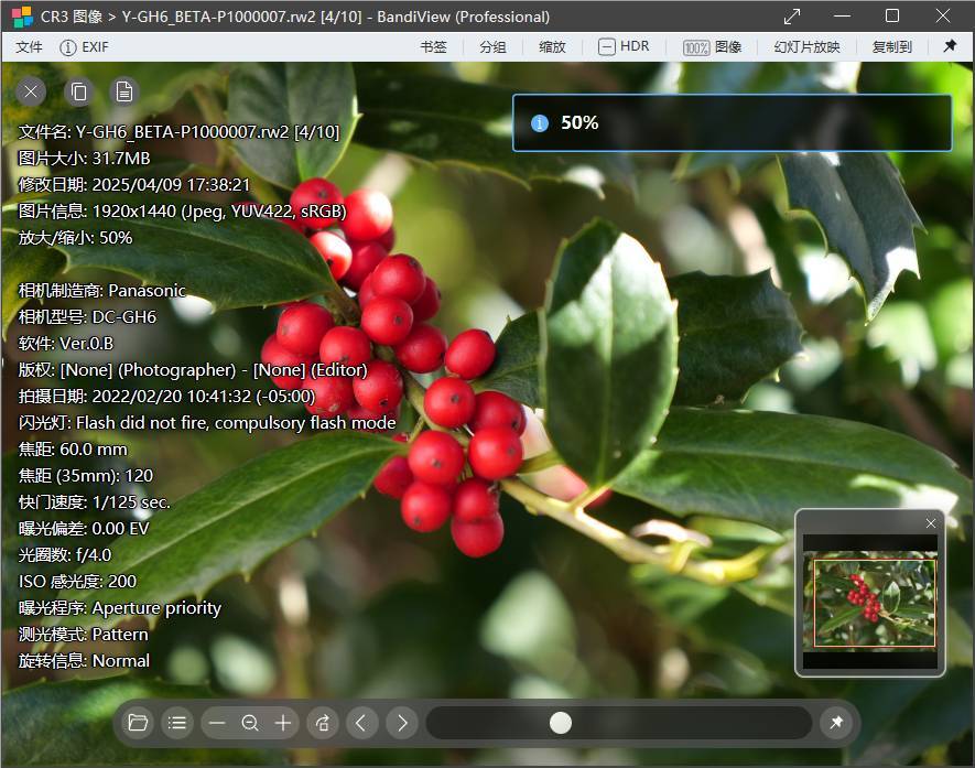 松下相机的照片格式是什么？RW2 格式如何查看以及转换？_处理_文件_摄影