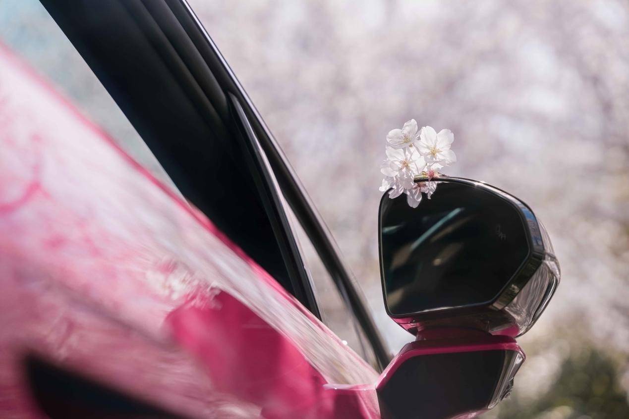 四月抢购领克Z20，限时价13.59万起？_搜狐汽车_搜狐网