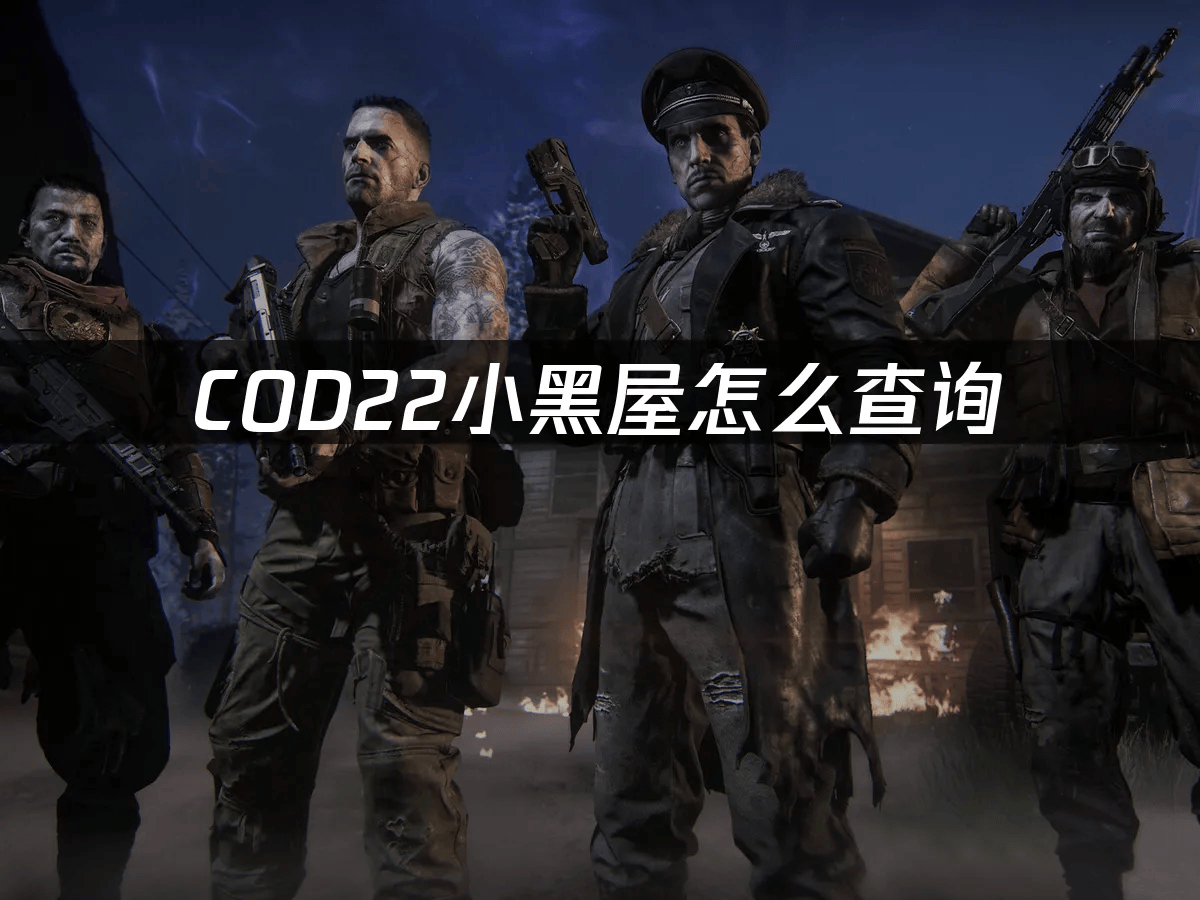 COD22小黑屋怎么查询，实用指南分享_玩家_游戏_账号