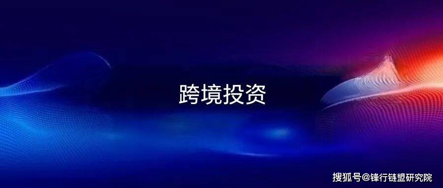 【锋行链盟】QDLP投资流程及核心要点_搜狐网
