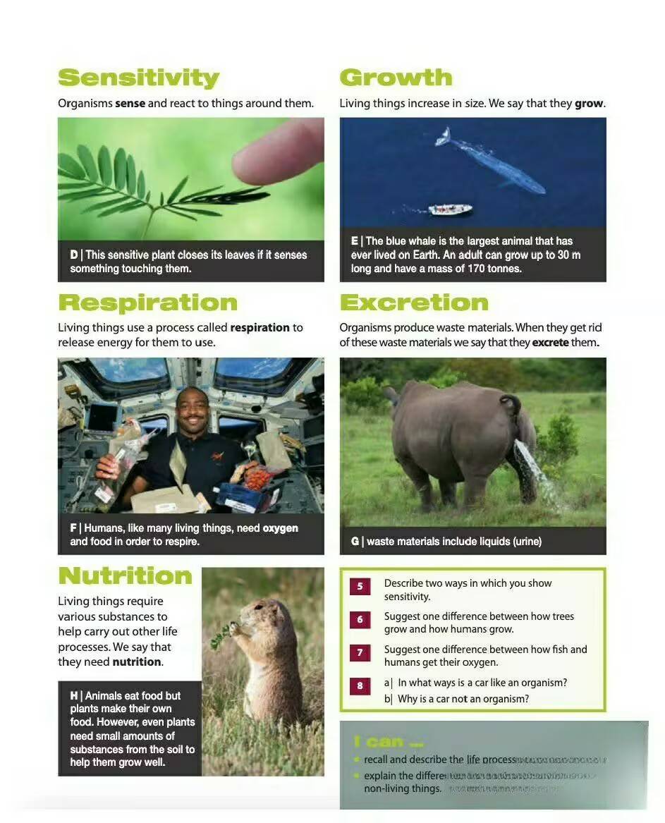 电子书 exploring science working scientifically 7+8+9 含3本pdf