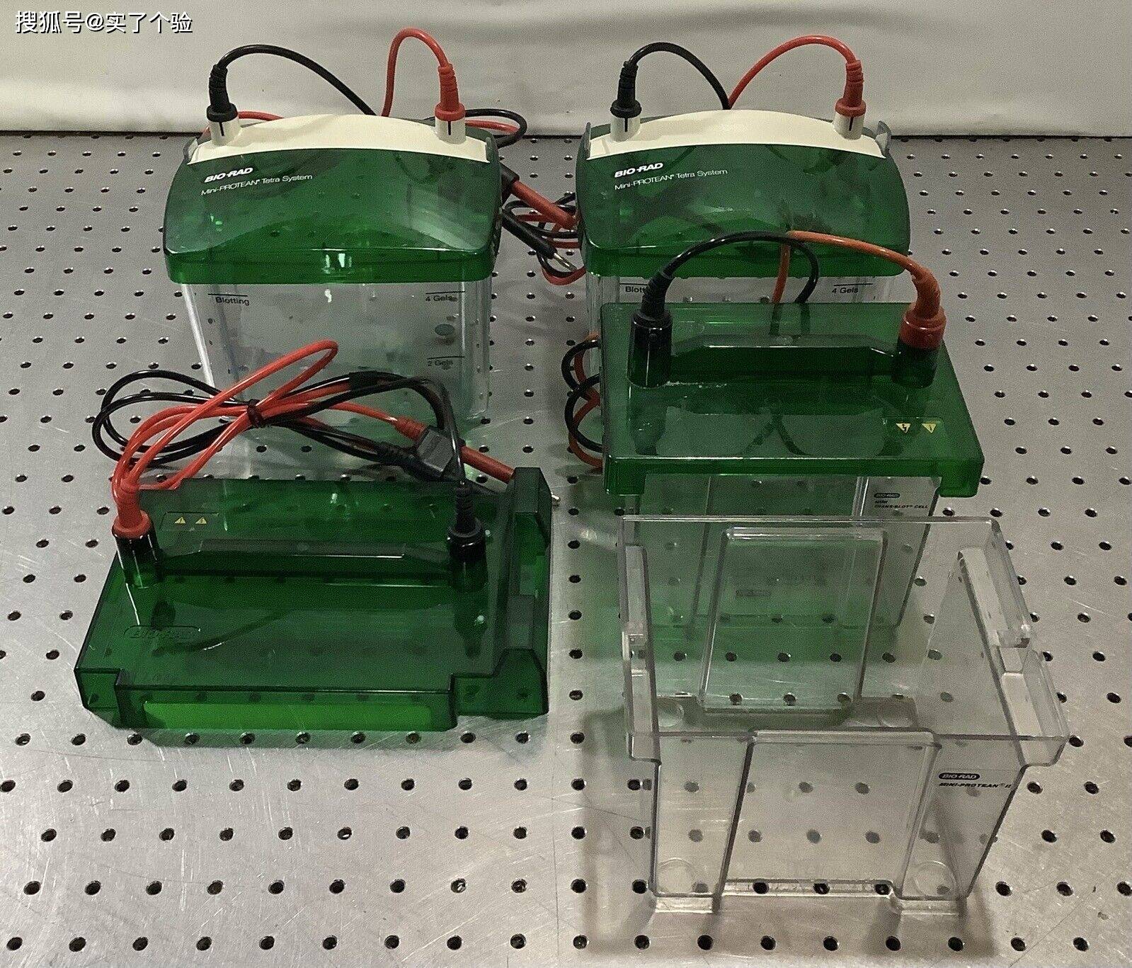 Bio-Rad 伯乐电泳仪_实验_研究_凝胶