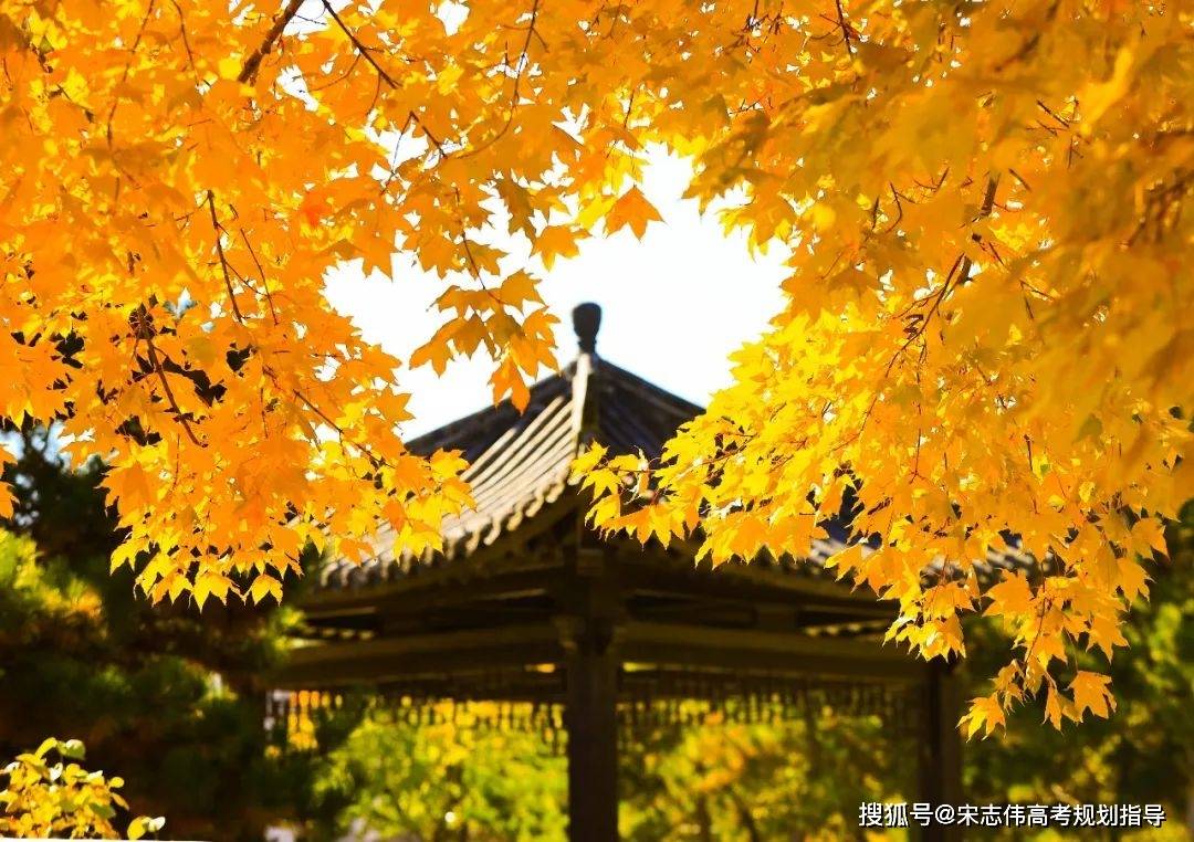 2026高考升学必备：C9、华五、小985、中坚九校、小211、双一流都是哪些高校？