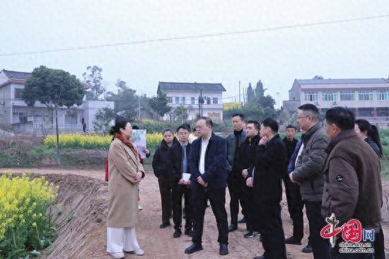 自贡市大安区委书记彭长林调研高标准农田建设 强调粮食安全与乡村振兴 保障 发展 红旗村