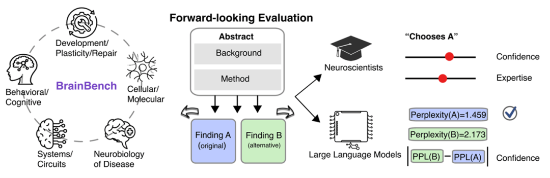 BrainGPT：超越神经科学家的GPT_预测_研究_的能力