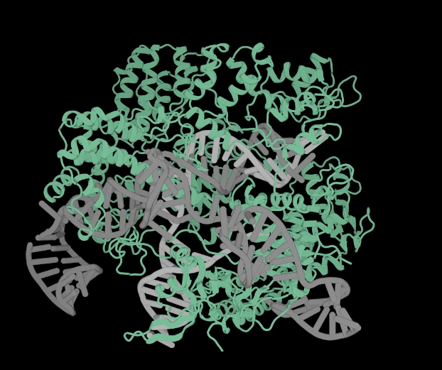 Profluent发布AI设计的基因编辑器，已成功编辑人类基因组_蛋白质_OpenCRISPR_人工智能