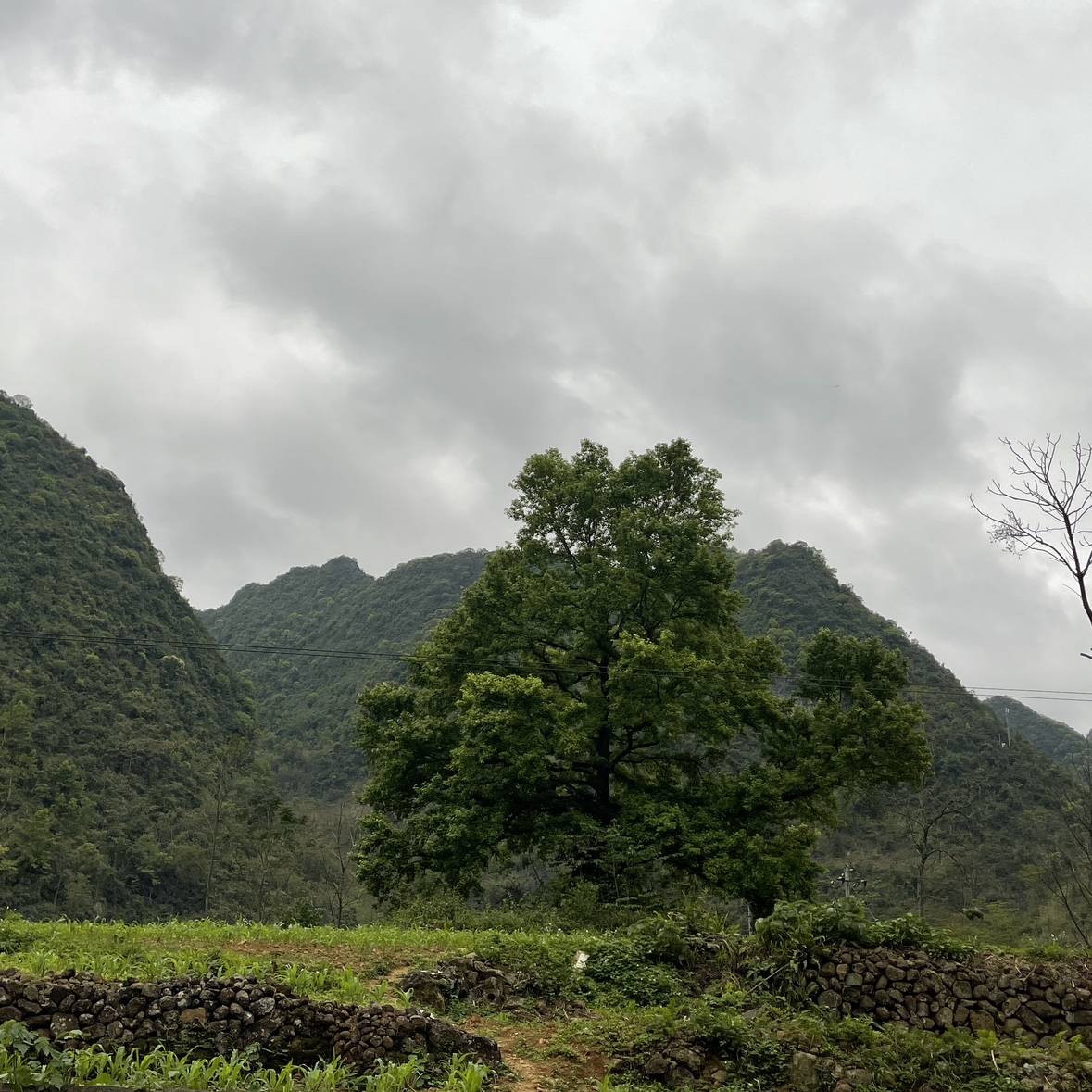 cod21使命召唤21：xgp游玩COD系列教程？其实步骤很简单！_Xbox_Game_Pass