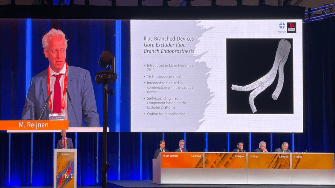 LINC 2024｜ICEBERG研究5年结果力证GORE EXCLUDER 髂动脉分支型覆膜支架（IBE）治疗主髂动脉瘤疗效_患者_血管_技术