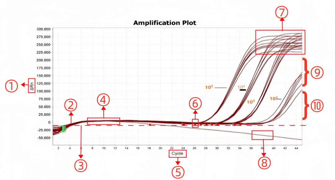 【文献读图】一文看懂qRT-PCR图！（附详细案例）_检测_信号_数据