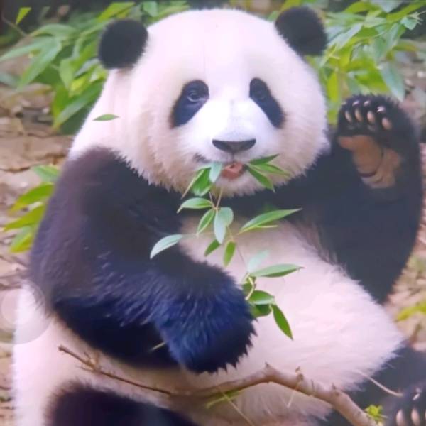 讲清楚~超皮秒多久做一次比较好、超皮秒祛斑一般几次可以干净皮肤黑色素激光