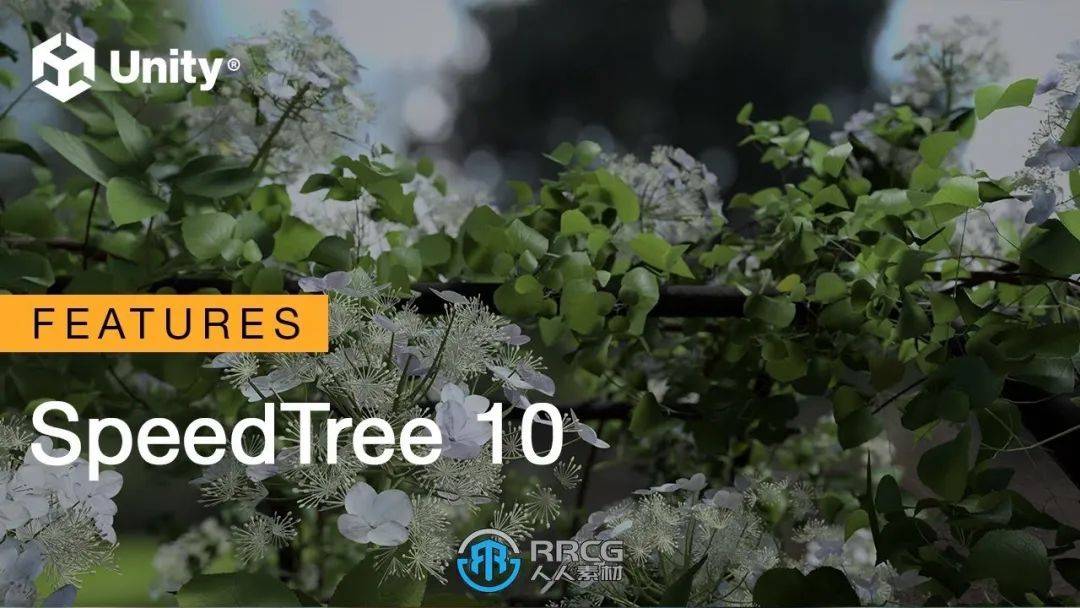 SpeedTree Modeler树木植物实时建模软件V10 Win与Mac版_Spines_系统_网格
