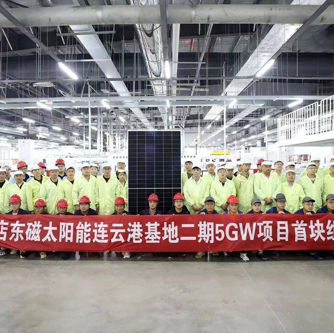 东磁连云港二期组件下线！效率领先成亮点_生产_项目_新能源