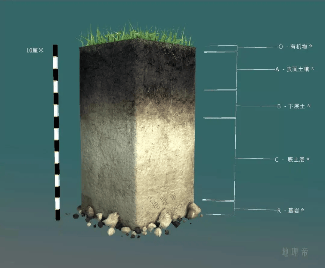 【土壤地理】最完整的土壤知识！全国土壤分布/形成/剖面（图图经典）转发、收藏起来_养分_作用_土粒