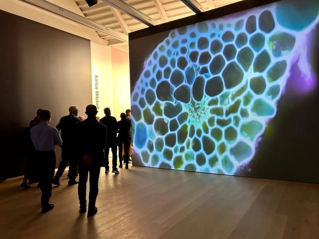 【好去处】Polygon美术馆林德双年展揭幕 华裔Casey Wei入围新锐艺术家奖_黄忆欣_作品_星岛