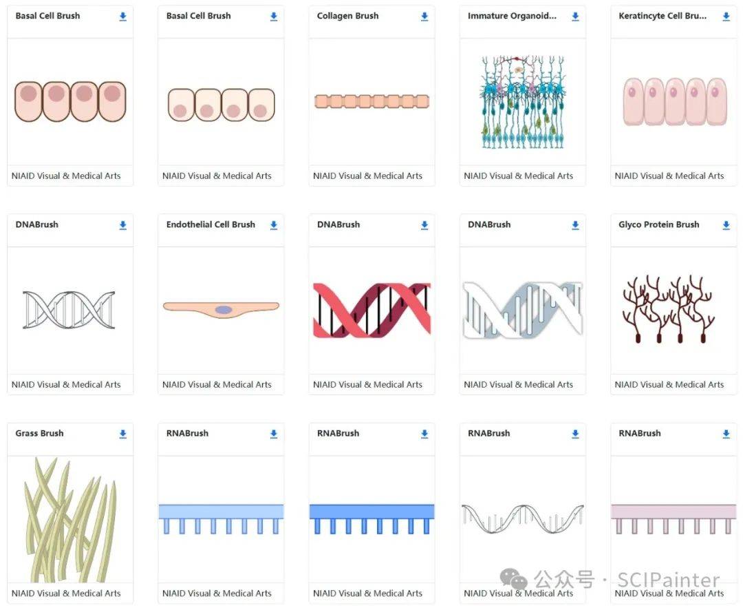 如何轻松完成论文或PPT所需的科研插图？_素材_BioArt_https