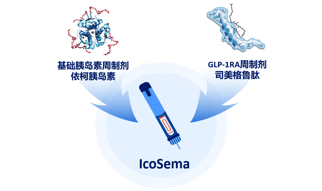 IcoSema：基础胰岛素/GLP-1RA周制剂，引领T2DM治疗新动态_患者_格鲁_药物