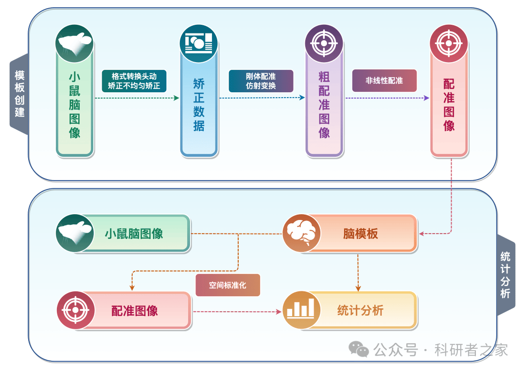 厉害了！用Figdraw画8张大图，拿下40分TOP期刊！_绘图_肿瘤_素材