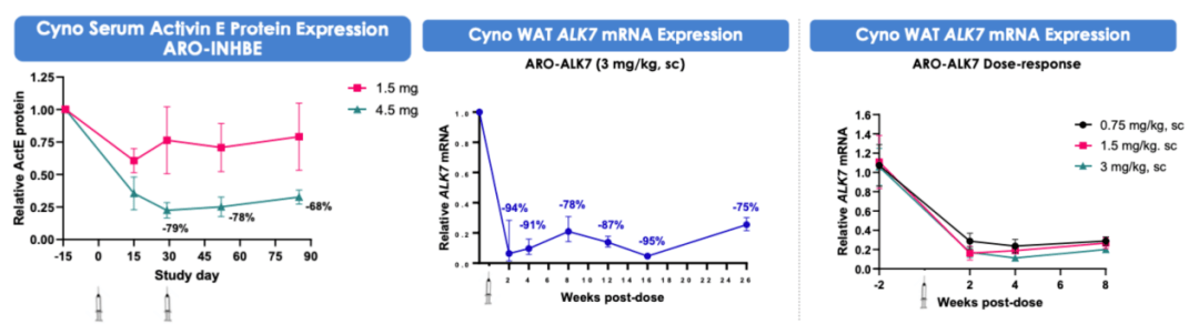 靶点和配体的双押暗棋：小核酸龙头，如何突破减肥药研发困局？_尔泊_药物_脂肪酸