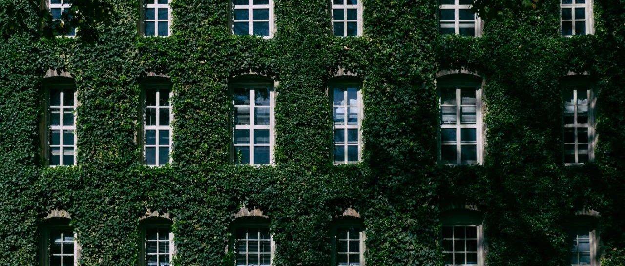 捷报｜无论文照样拿全奖博士！25Fall普林斯顿Offer 数继续攀升！_Nuts_留学_收获