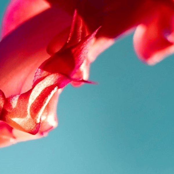 LINE FRIENDS旗下创意互动潮流品牌COLLER开启“YOU BE YOU”快闪_中国_系列_消费者