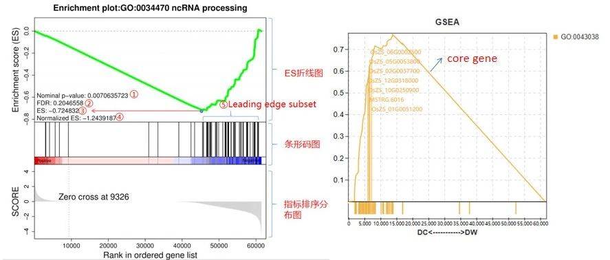 一文带你读懂“GSEA富集分析”_通路_进行_差异基因
