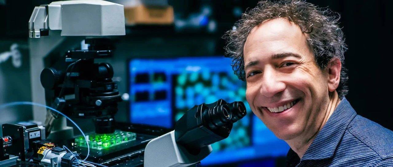 专访| 这位物理学家，开创了生物学的新领域_Elowitz_合成_基因