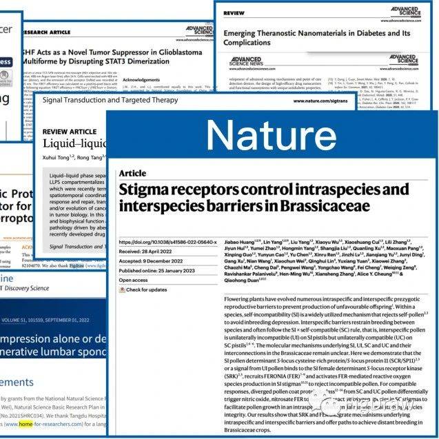 Nature等6330次！科研绘图神器Figdraw被引次数再创新高！_素材_模版_流程图