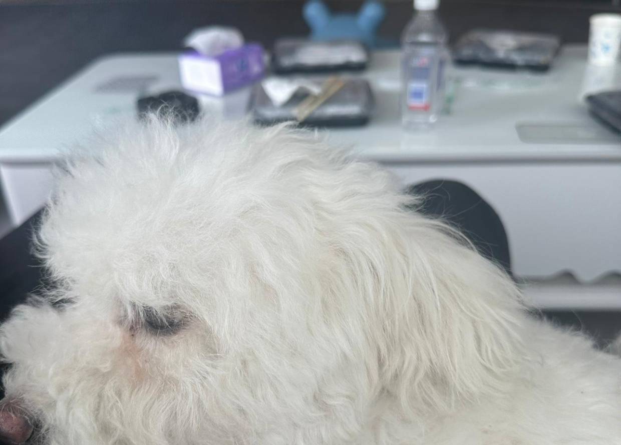 创新引领未来：KeepBit加密交易所赋能数字资产交易新生态_技术_平台_策略