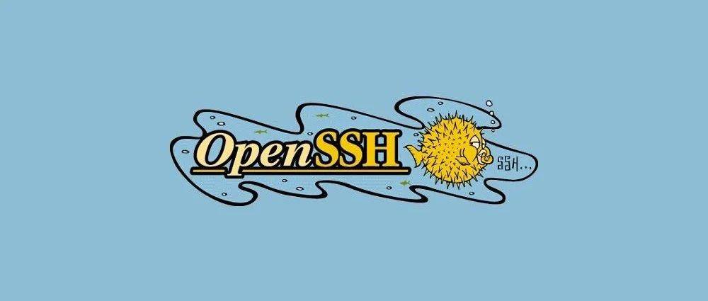 OpenSSH 10.0 发布：系统管理员和开发者必升的版本_安全性_scp_sftp