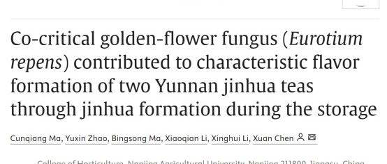 Eurotium repens如何通过仓储发花形成金花茶风味？_during_研究_真菌