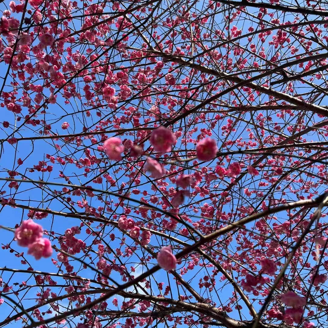 2025上海CBME孕婴童展：安全与创新引领千亿级市场新未来_产品_行业_玩具