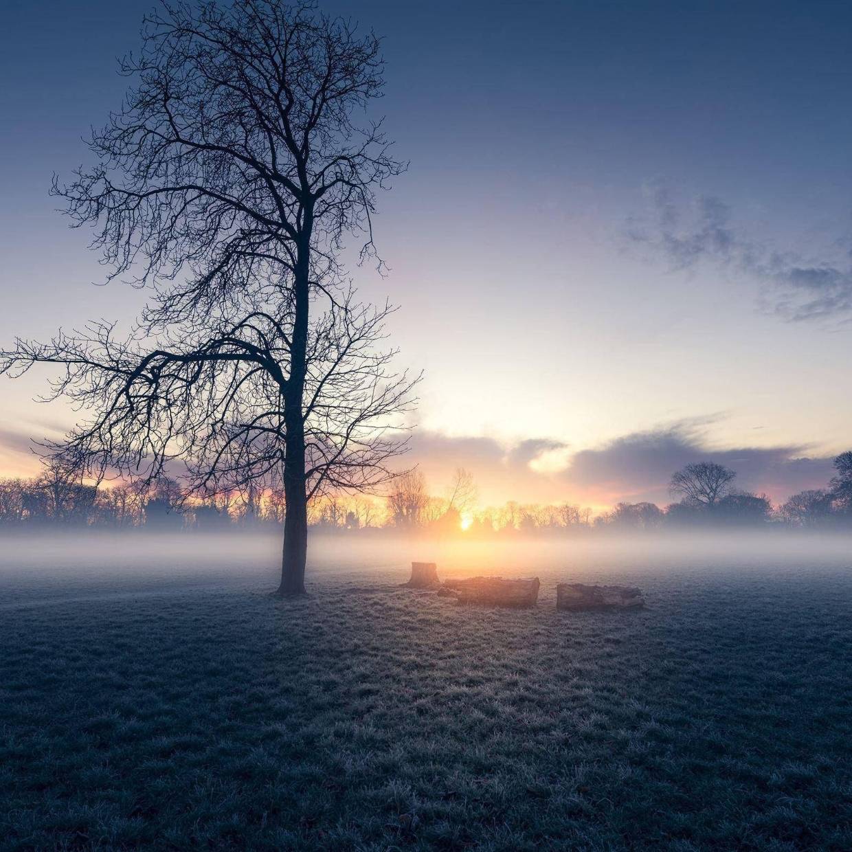 WTT大满贯赛：国乒女单4胜1负！陈幸同大逆转，蒯曼横扫_选手_孙颖莎_楚钦