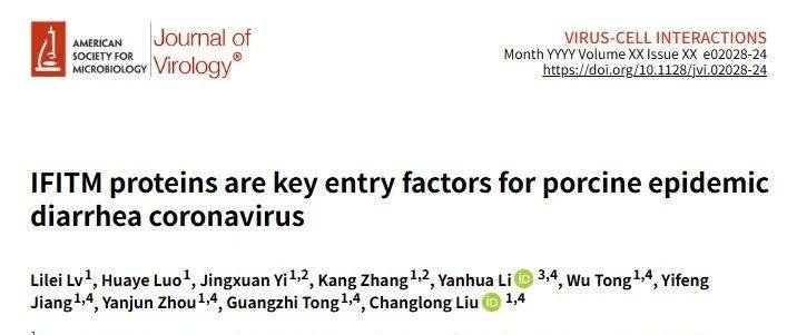J VIROL | 农科院上兽研刘长龙研究员团队揭示IFITM是PEDV入侵宿主细胞的关键因子_相关研究_防控_蛋白