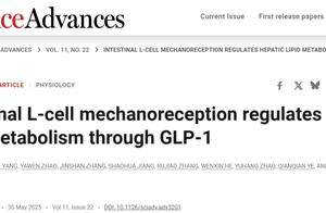 Sci Adv丨暨南大学许戈阳研究探讨了调控L细胞中Piezo1对肝脏脂质代谢的影响_脂肪