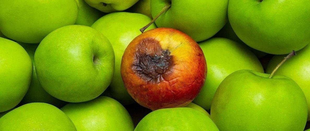 “you are a bad apple”，明白真正意思之后，真的很气人_spoils_the_苹果