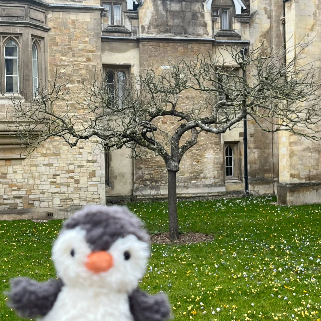 本科留学中介排名：八家牛剑G5冲刺实力解析_学术_策略_潜力